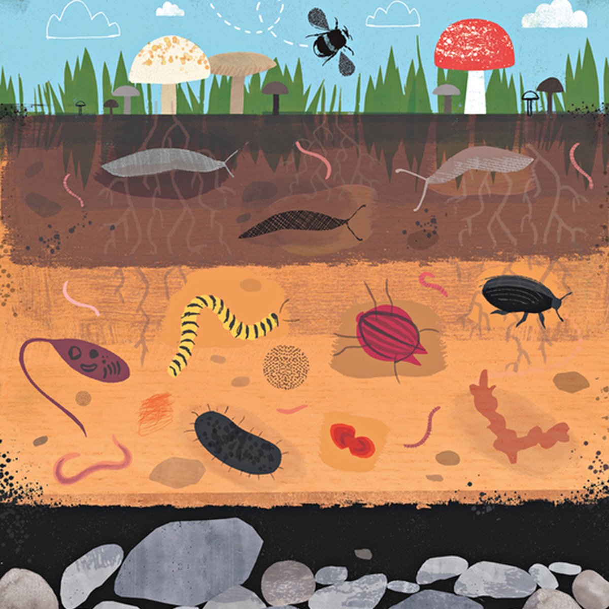 participate and visit | Spore Initiative