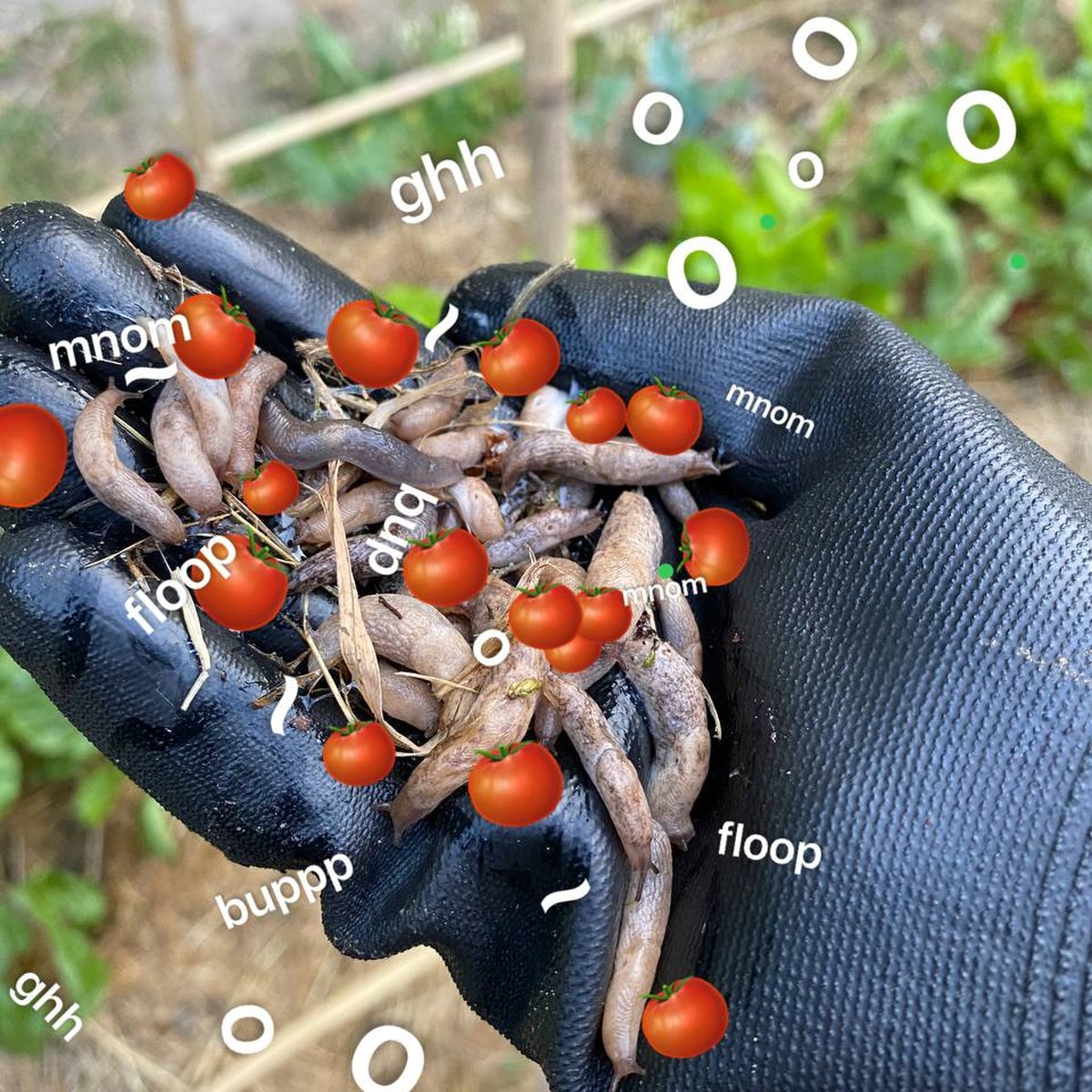 participate and visit | Spore Initiative