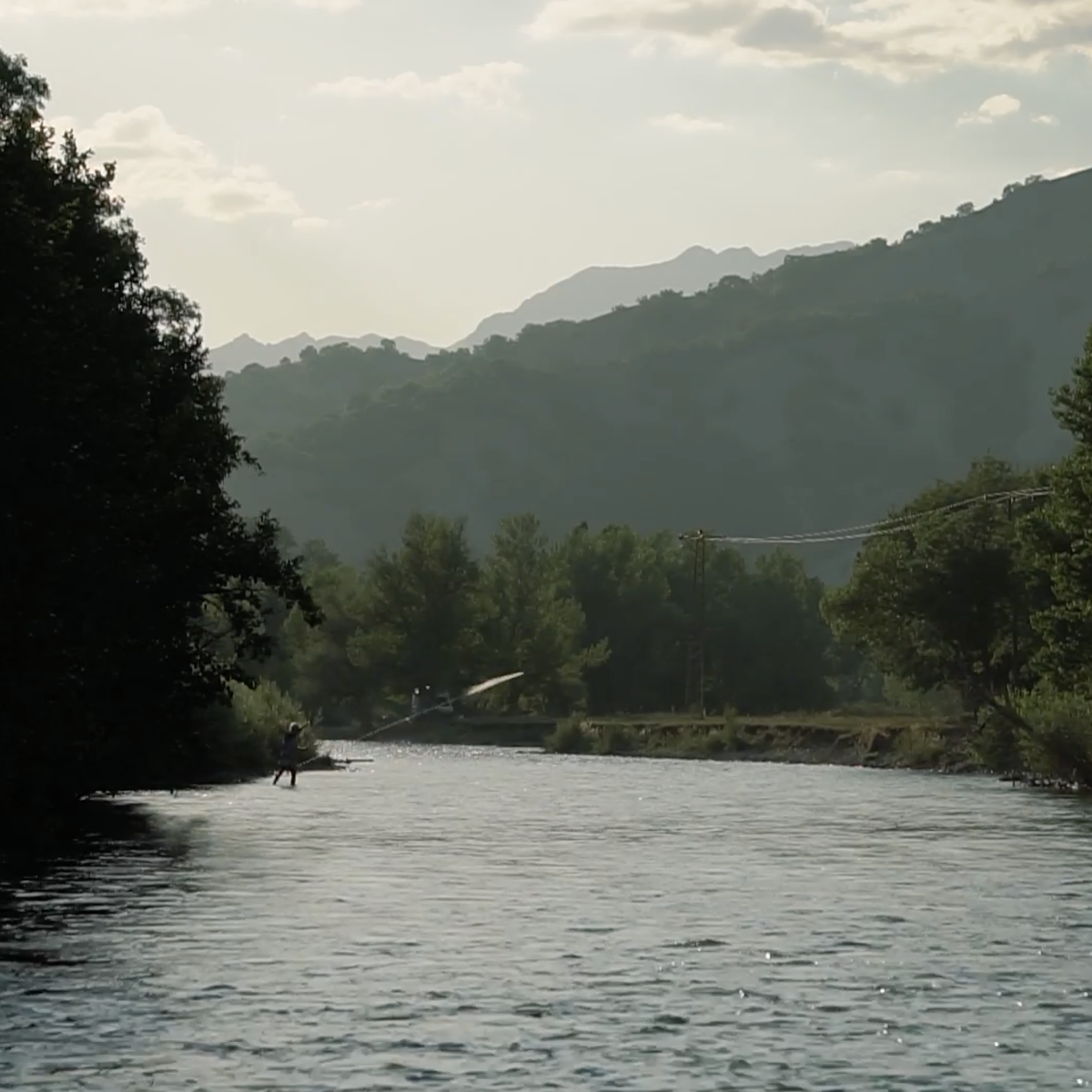 participate and visit | Spore Initiative