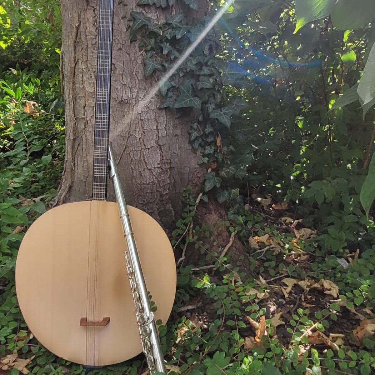 participate and visit | Spore Initiative