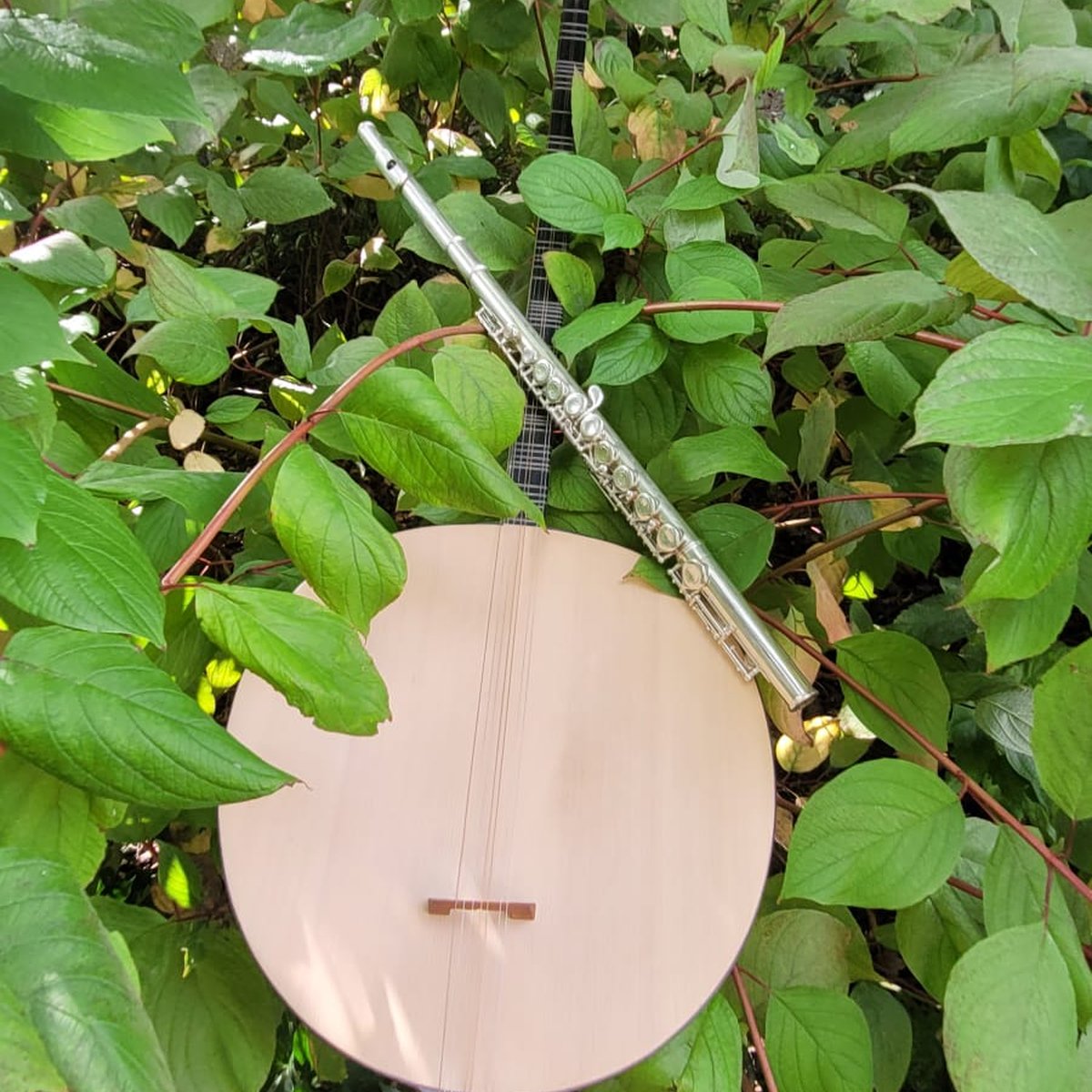 participate and visit | Spore Initiative