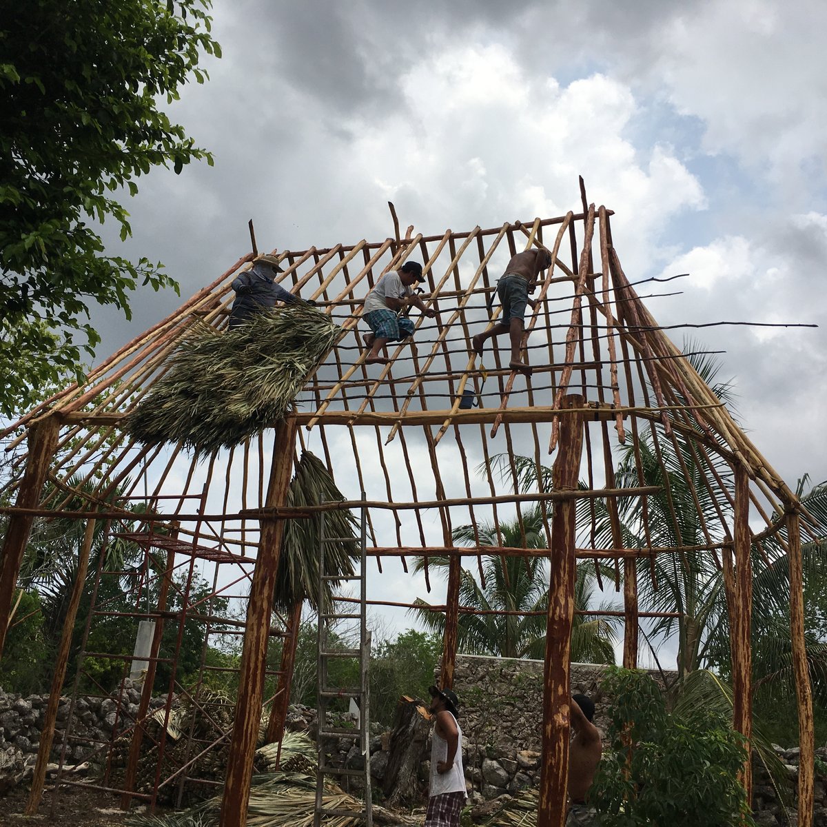 The Solar Maya as a Collective Learning Space | Spore Initiative