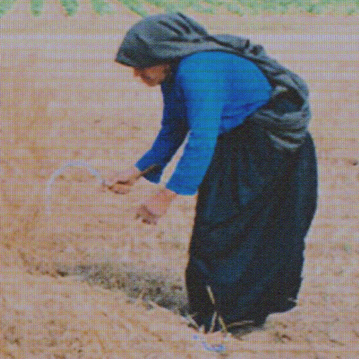 participate and visit | Spore Initiative