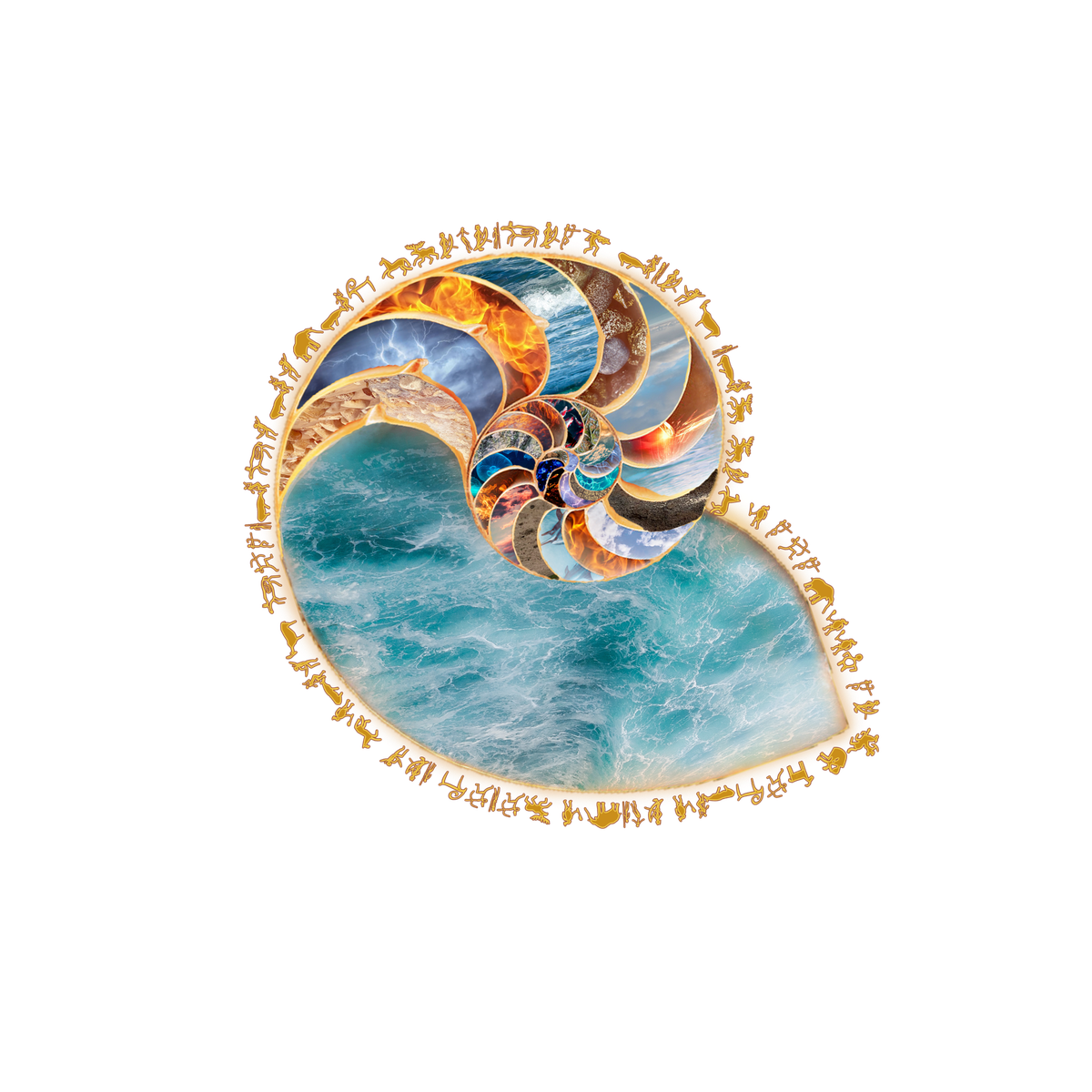 participate and visit | Spore Initiative